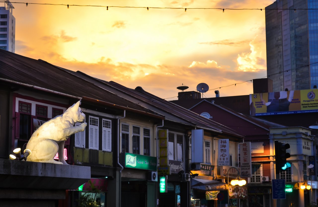 “Purred Lines – The Cats of Kuching” – The Saturday Paper | Ricky French